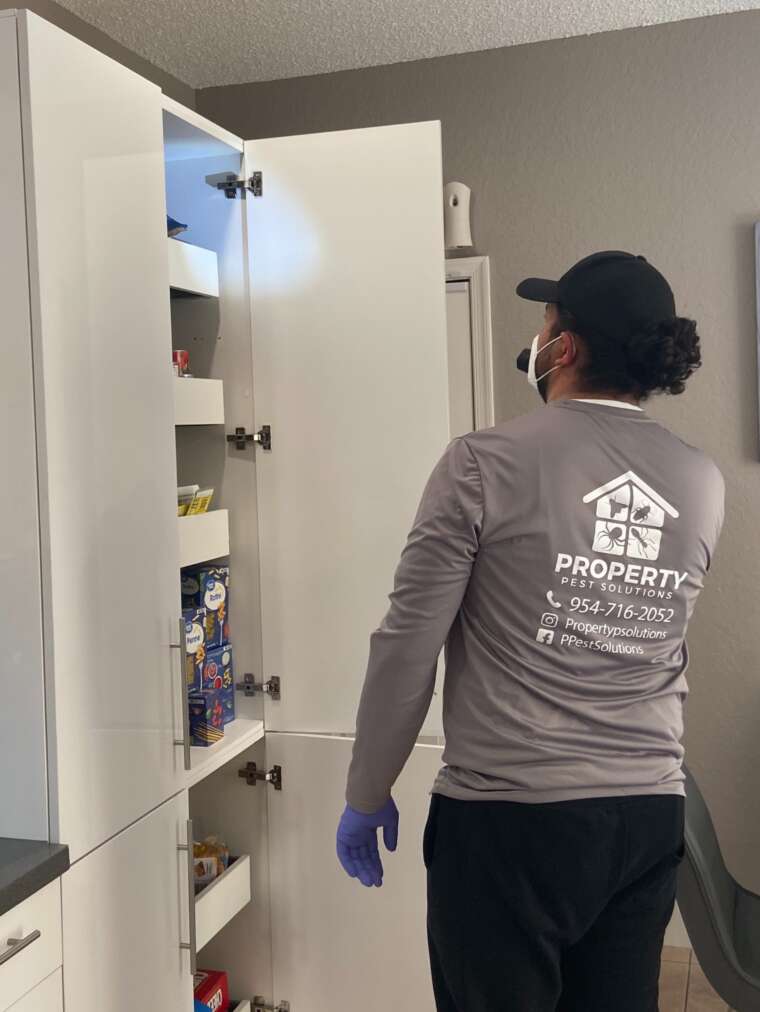 Pest Control In Broward County - Property Pest Solutions LLC